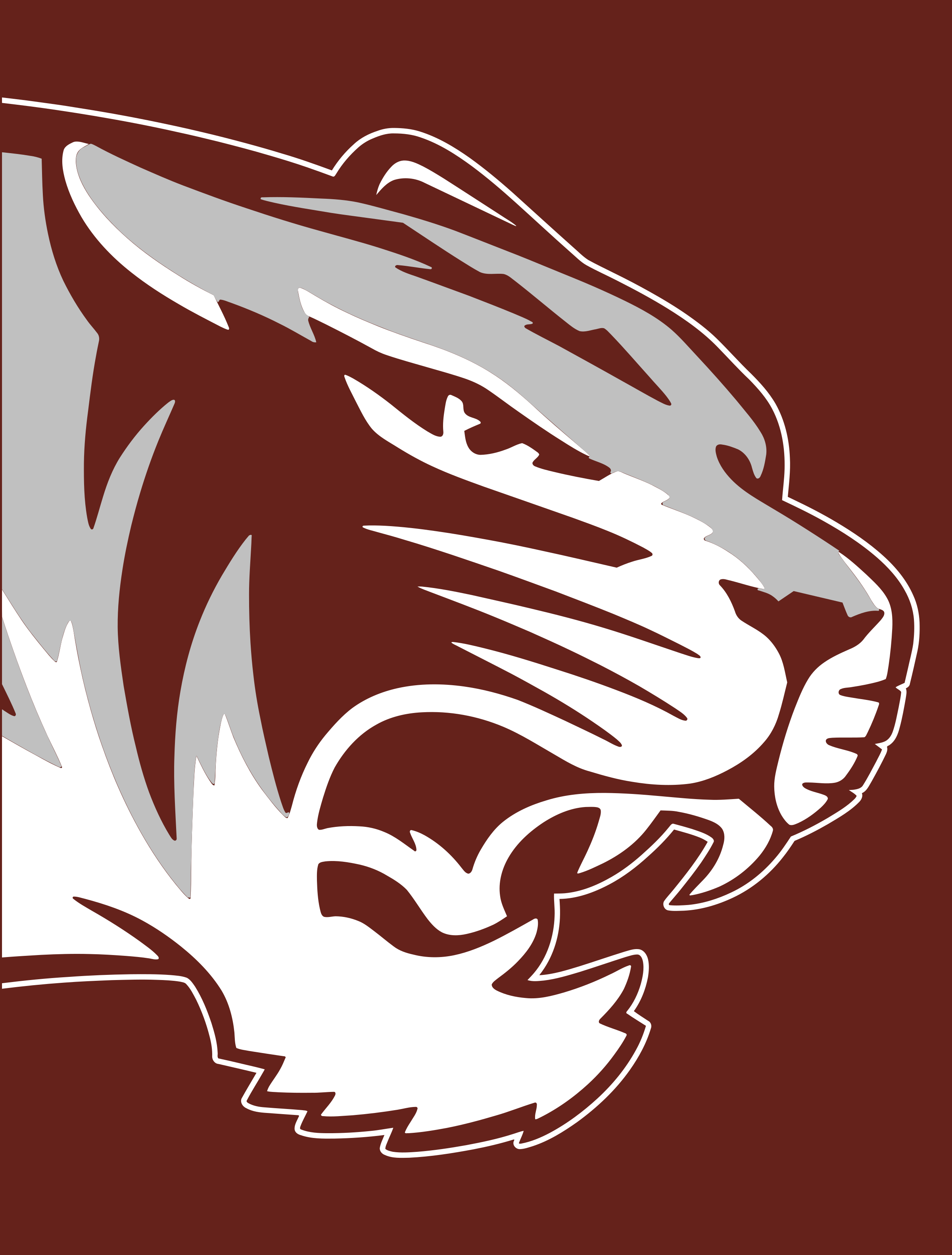 NEVADA TIGERS – Griffin Custom Design